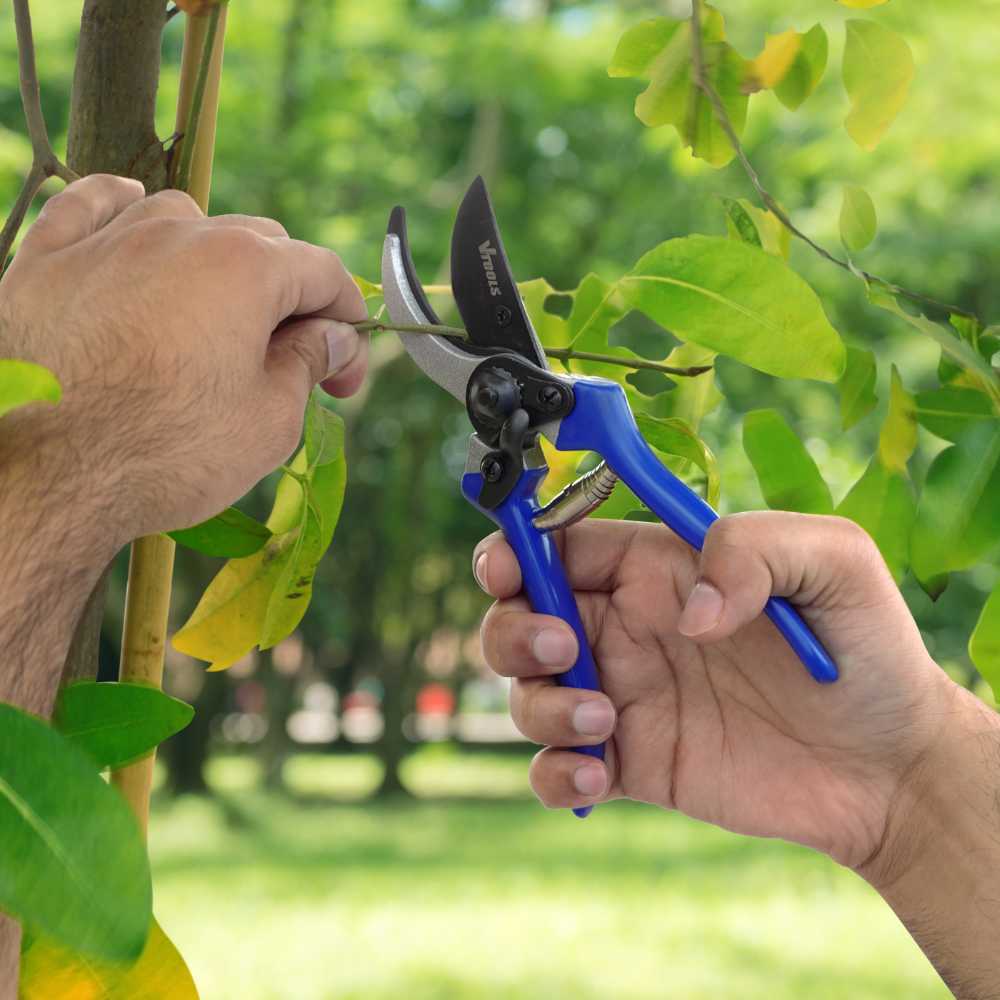 VTools 215mm Bypass Pruning Shears With Extra Blade & Compression ...